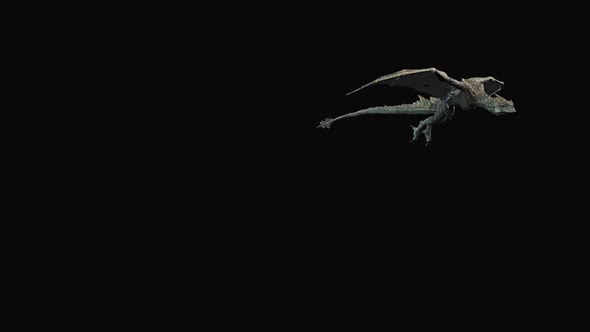 Dragon Fly Over Screen, Motion Graphics | VideoHive