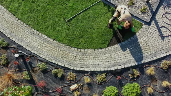 Natural Grass Installation by Gardener, Stock Footage | VideoHive