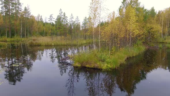 Drone shot of a small swamp lake in the Finnish wilderness., Stock Footage