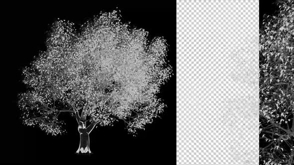 Deviantart 3D Loop by KIZILBOGA | VideoHive