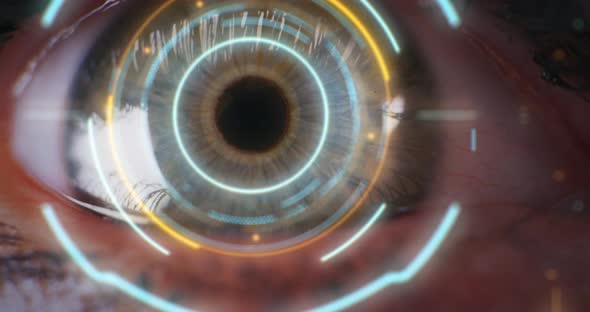 Closeup of Eye Biometric Authentication, Stock Footage | VideoHive
