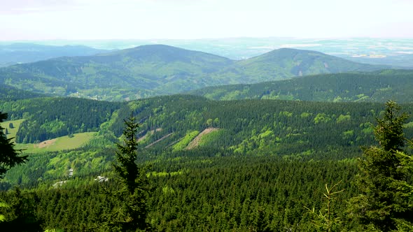 A Vast Hilly Forest Area, the Misty Mountainous Background, Tree Crowns ...