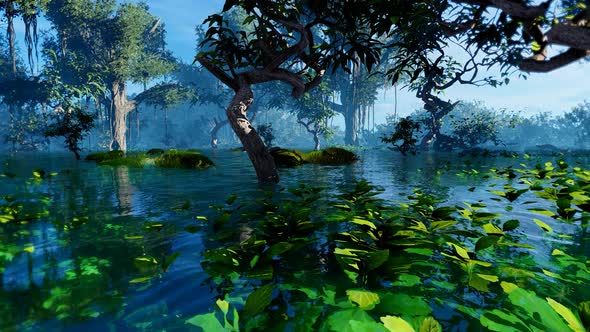 Rainforest Swamps, Motion Graphics | VideoHive