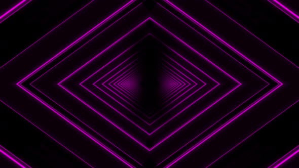 Purple Lines Loop, Motion Graphics | VideoHive