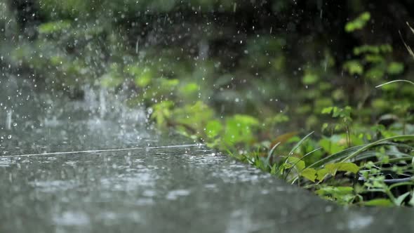 Raining outdoor , Stock Footage | VideoHive