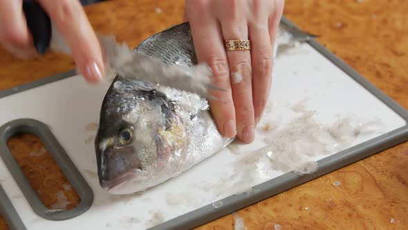 Cleaning Fish Scales, Stock Footage | VideoHive