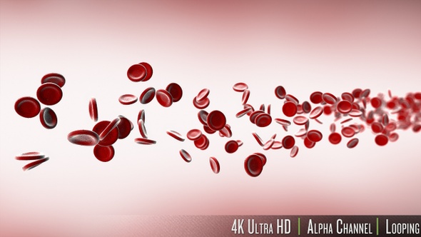 4K Stream Of Red Blood Cells From The Side, Motion Graphics | VideoHive