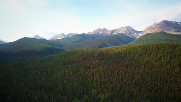 Sprawling forests in the rocky mountain wilderness., Stock Footage