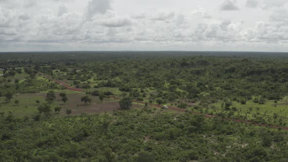 Africa Mali Forest Aerial View, Stock Footage | VideoHive