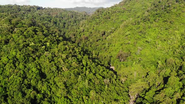 Green Jungle on Hills. Tropical Trees Growing on Hilly Terrain on Koh ...