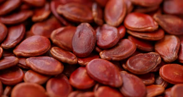 Stack of red melon seed, Stock Footage | VideoHive