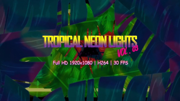 Tropical Neon Lights Vol. 03 VJ Loop, Motion Graphics | VideoHive