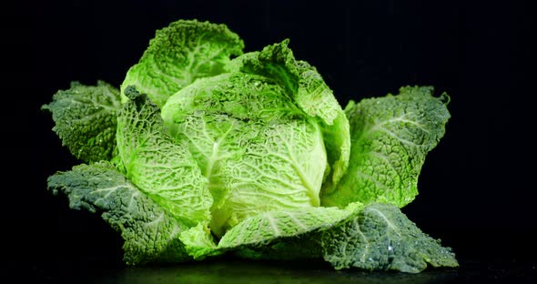 Fresh Green Savoy Cabbage Plugs Falling Water Drops. , Stock Footage