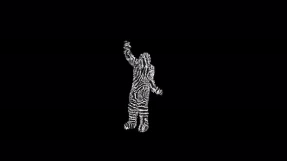 4K Party Zebra Dance Loop, Motion Graphics | VideoHive