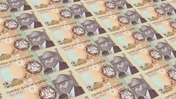 Lesotho Money / 2 Lesotho Loti 4K, Motion Graphics | VideoHive