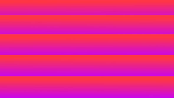 Horizontal Lines Geometry Flow Animation, Purple Pink, Motion Graphics
