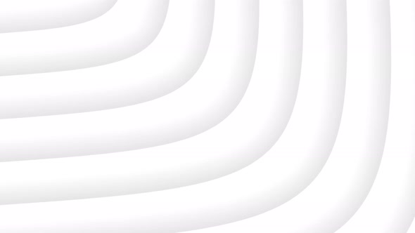 White Background, Motion Graphics | VideoHive