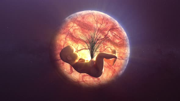 Baby in the Womb of the Planet Earth in Space, Motion Graphics | VideoHive