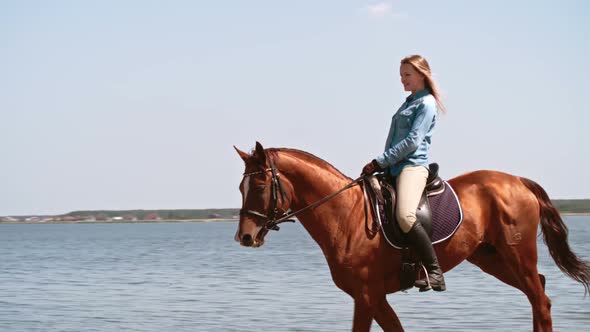 Elegant Woman Riding Horse, Stock Footage | VideoHive