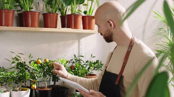 Good Looking Owner Man in His Small Floral Shop, Stock Footage | VideoHive
