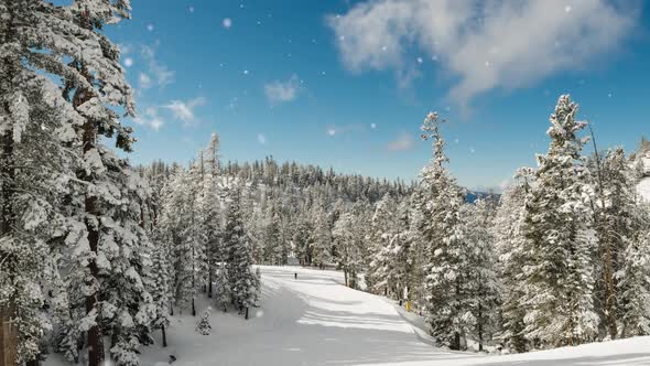 Blizzard Snow, Motion Graphics | VideoHive