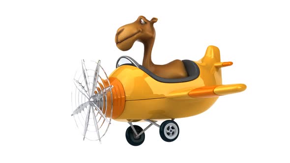Camel in a plane, Motion Graphics | VideoHive