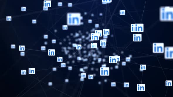 Linkedin Icon Connection Network, Motion Graphics | VideoHive