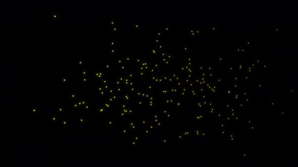 Fireflies, Motion Graphics | VideoHive