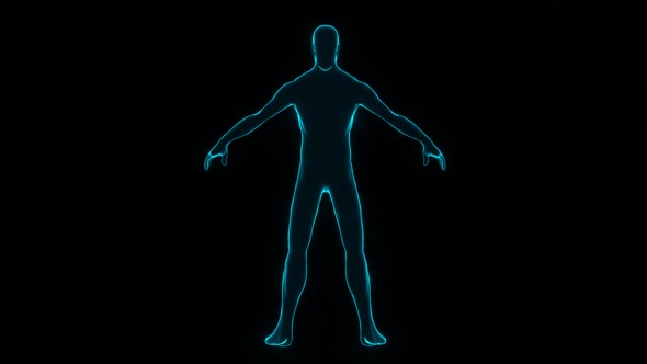 Human body. Human model rotation., Motion Graphics | VideoHive