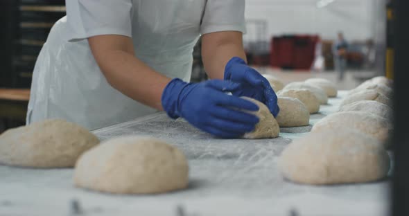 Closeup Working Hard Professional Bakers in a, Stock Footage | VideoHive