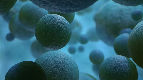 Cells Fly-through Shot 01, Motion Graphics | VideoHive