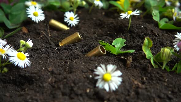 Bullet casings from a 5mm pistol fall to the ground and chamomile ...