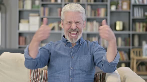 Celebrating Old Man Cheering Success, Stock Footage | VideoHive