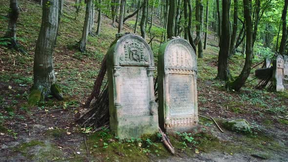 Two Tombstones in Old Cemetery, Stock Footage | VideoHive