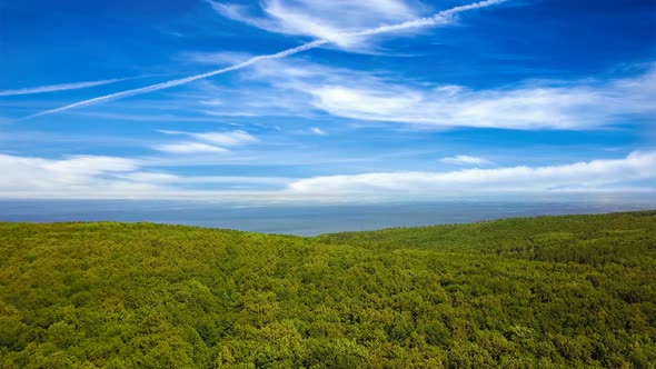 Sea And Forest, Stock Footage | VideoHive
