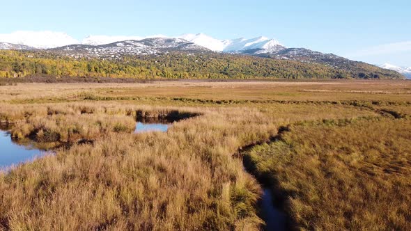 Potter Marsh Bird Sanctuary, Stock Footage | VideoHive