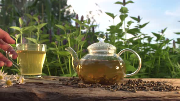 Tea in Nature. Slow Motion 2x., Stock Footage | VideoHive