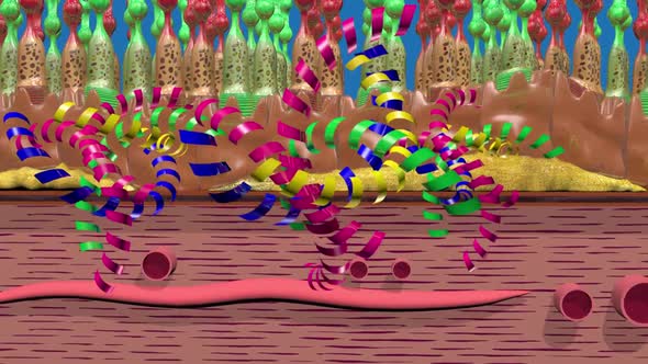Animated Eye's Anatomy, Wet Macular Degeneration, Motion Graphics ...