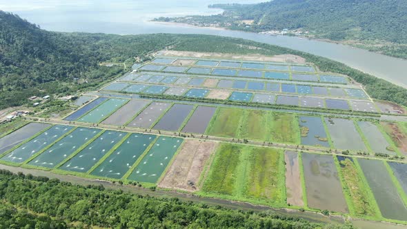 Prawn Fish Farm Aerial, Stock Footage | VideoHive