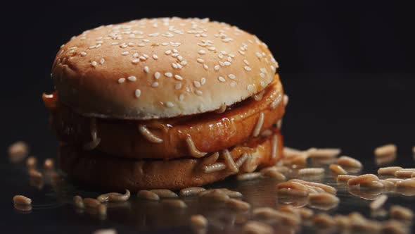 Larvae Maggot and Worms are Spreading From Burger on Table on Dark ...