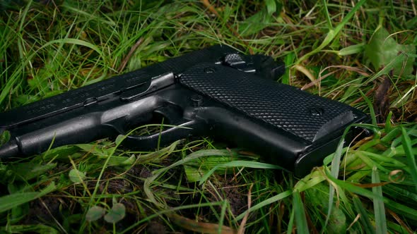 Gun In Grass Moving Shot, Stock Footage | VideoHive