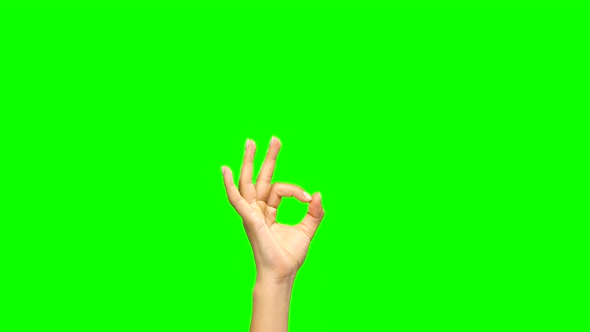 Hand Appearing at Bottom Green Screen, Showing Ok, Stock Footage ...