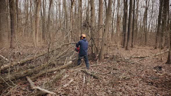 Forester Using a Chainsaw Makes Clearing the Forest, Stock Footage