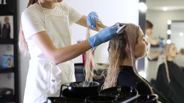Process of Dyeing Hair at Beauty Salon, Stock Footage | VideoHive