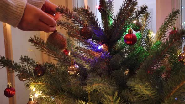 Close up shot of a beautifully decorated chrismas tree inside house. A ...