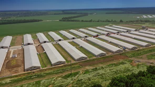 Premises of the poultry farm. Complex of white buildings poultry farm ...