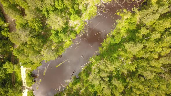 Forest Swamp From Above, Stock Footage | VideoHive