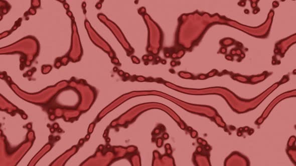 Abstract Looping Background in Maroon Tones, Motion Graphics | VideoHive