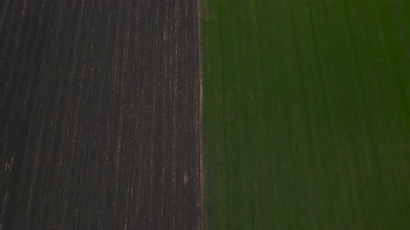 Aerial Drone Top View Flight Over Ground Land and Green Field Top Down ...