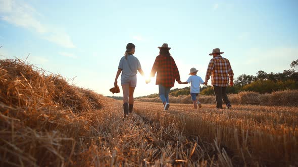 Rear View of Happy Family Farmers Together Walking in Mown Wheat Field ...